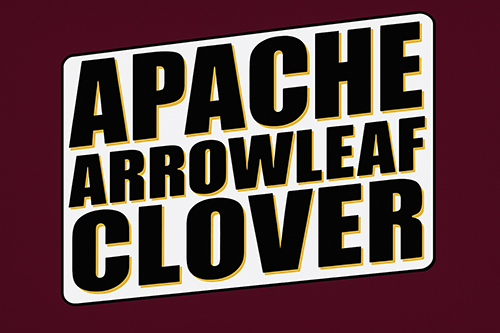 turnerseed: Arrowleaf Clover - Apache