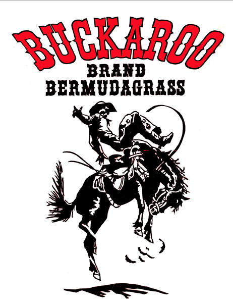 turnerseed: Bermudagrass - Buckaroo Blend