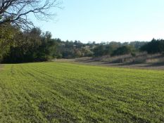 turnerseed: Fall Food Plots
