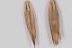 turnerseed: Tall Fescue - Kentucky 31